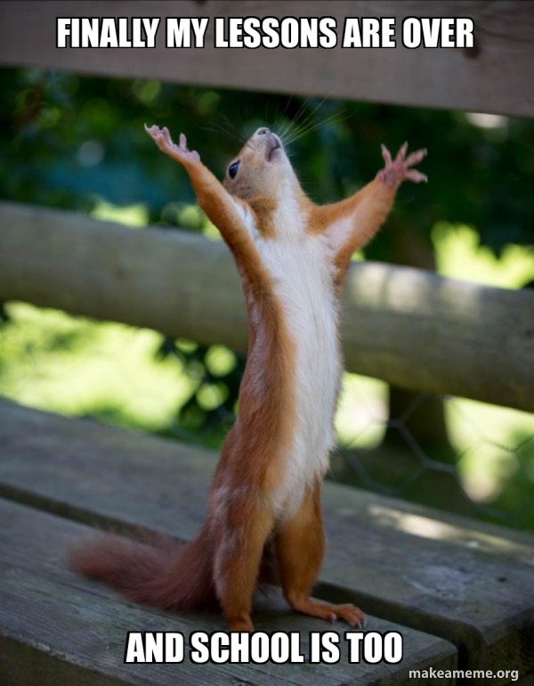 Finally my lessons are over And school is too - Happy Squirrel Meme ...