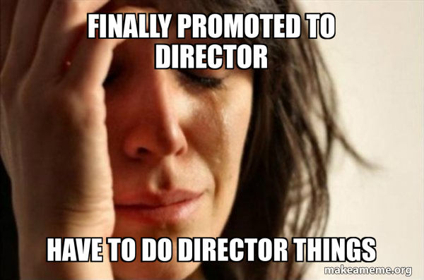 finally promoted to director have to do director things - First World ...