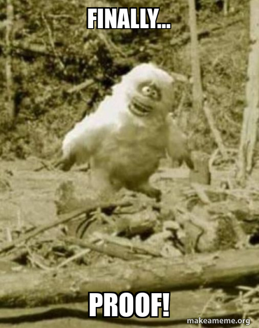 finally... proof! Meme Generator