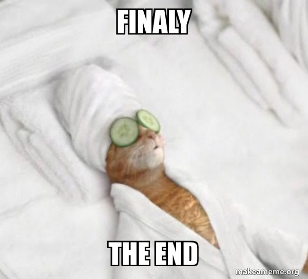 finaly the end - Pampered Cat Meme Meme Generator