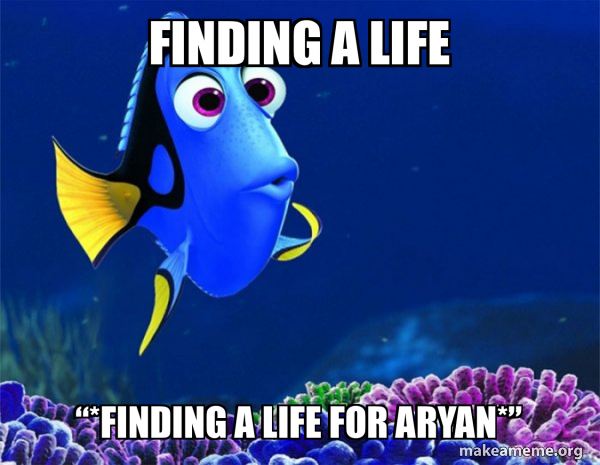 Finding a life “*finding a life for Aryan*” - Dory from Nemo (5 second ...