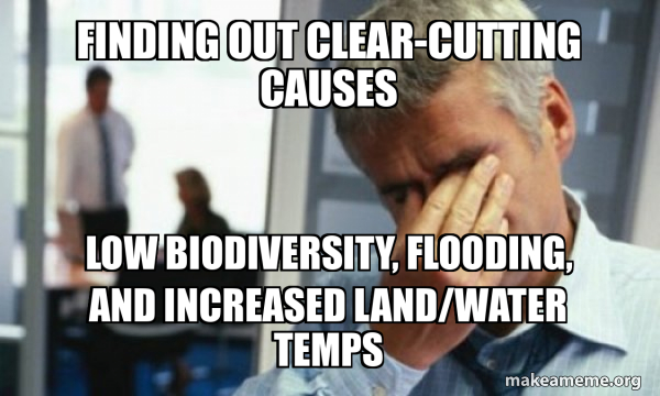 Finding out clear-cutting causes low biodiversity, flooding, and ...