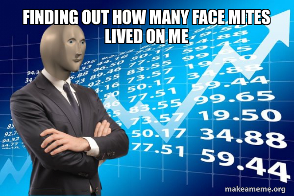 finding out how many face mites lived on me - Stonks Only Go Up Meme ...