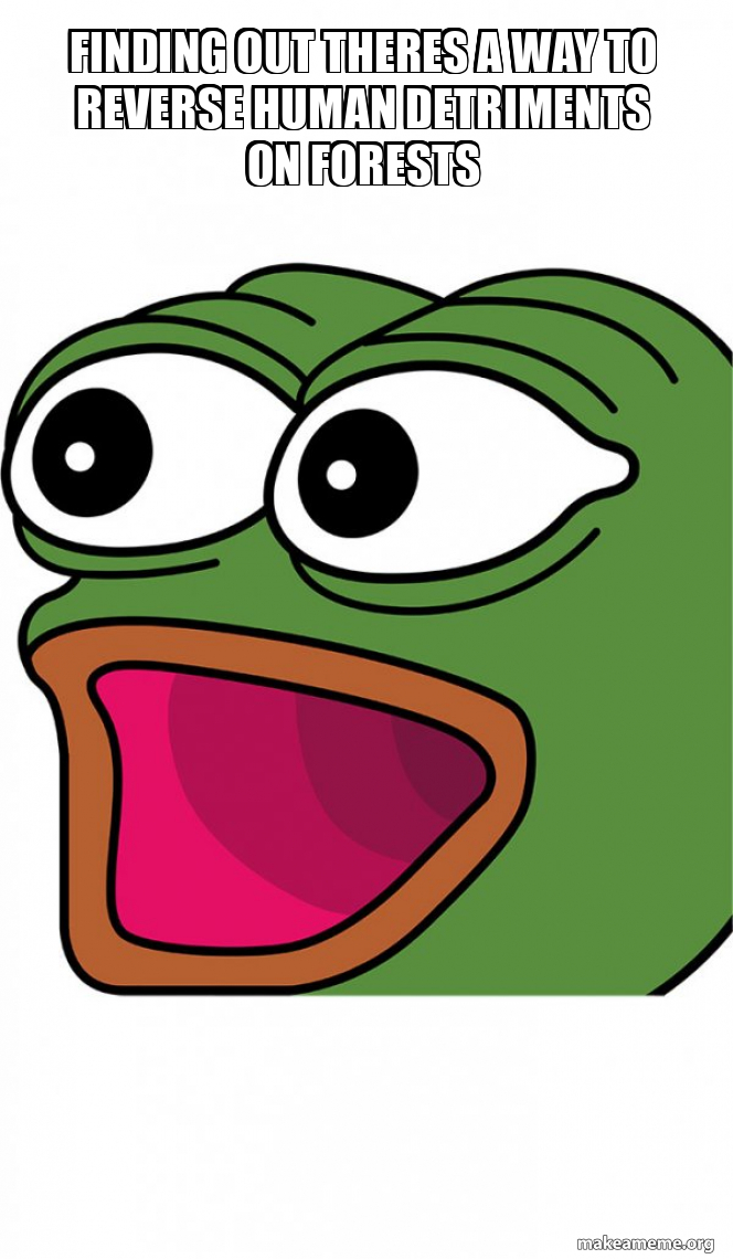 Finding out theres a way to reverse human detriments on forests ...