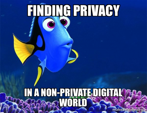 Finding Privacy in a non-private digital world - Dory from Nemo (5 ...