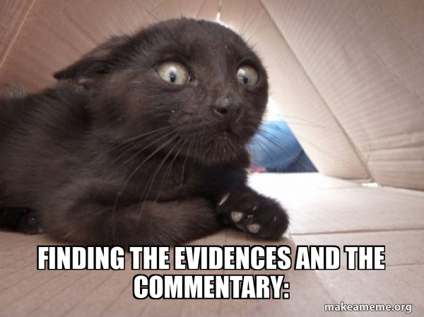 Finding the evidences and the commentary: - Schitzo Cat Meme Generator