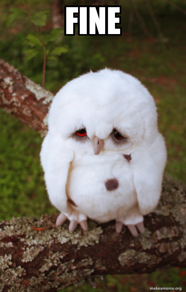 FINE - Sad Owl Meme Generator