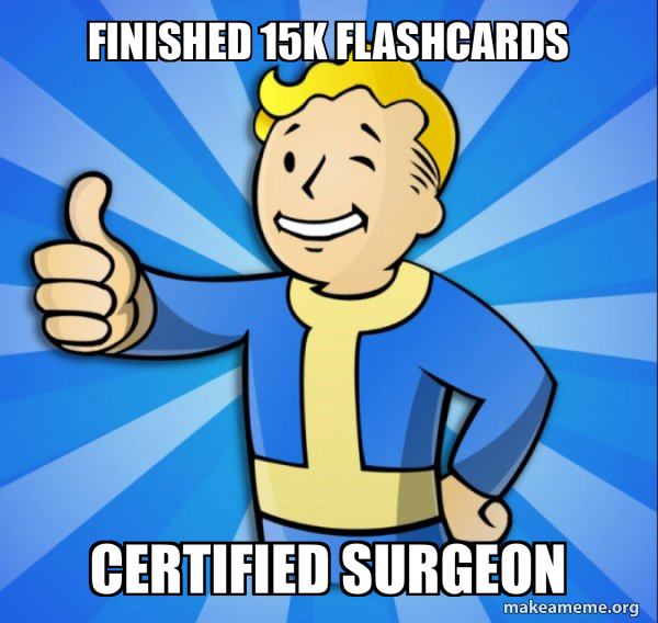 finished 15k flashcards certified surgeon - Vault Boy Fallout 4 game ...