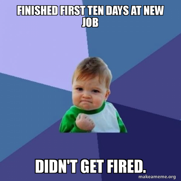 Finished first ten days at new job didn't get fired. - Success Kid Meme ...