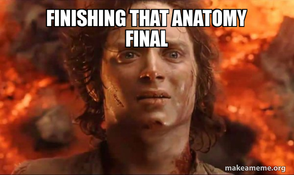Finish Finals Memes Is This Finals Week Or My Final Week? Stay Tuned