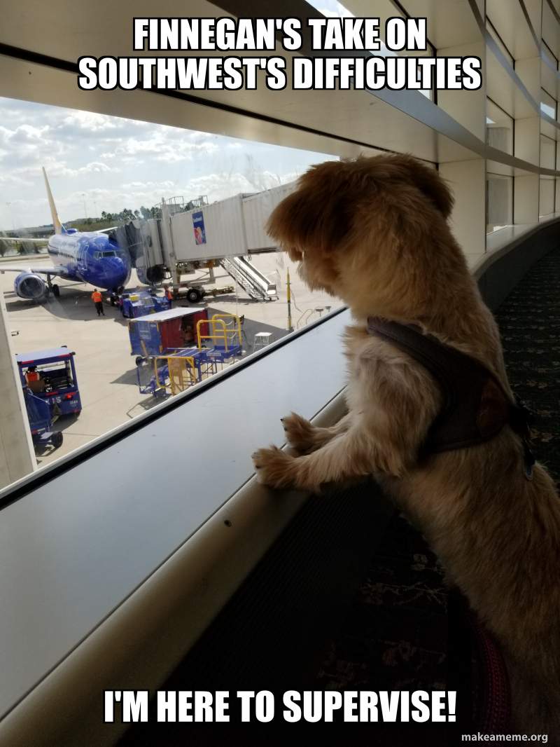 Finnegan's take on Southwest's difficulties I'm here to supervise! Meme ...