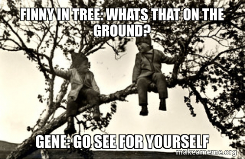 Finny in tree: Whats that on the ground? Gene: Go see for yourself Meme ...