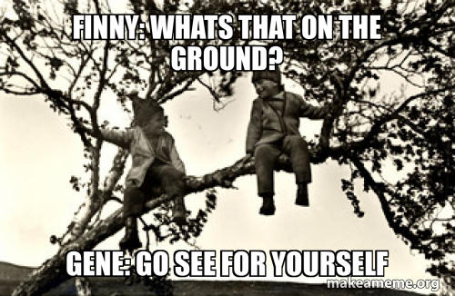 Finny: Whats that on the ground? Gene: Go see for yourself Meme Generator