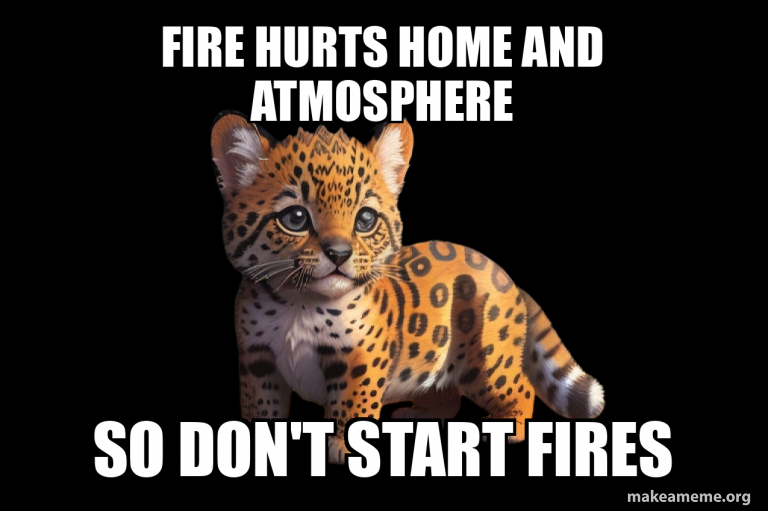 fire hurts home and ATMOSPHERE so don't start fires Meme Generator