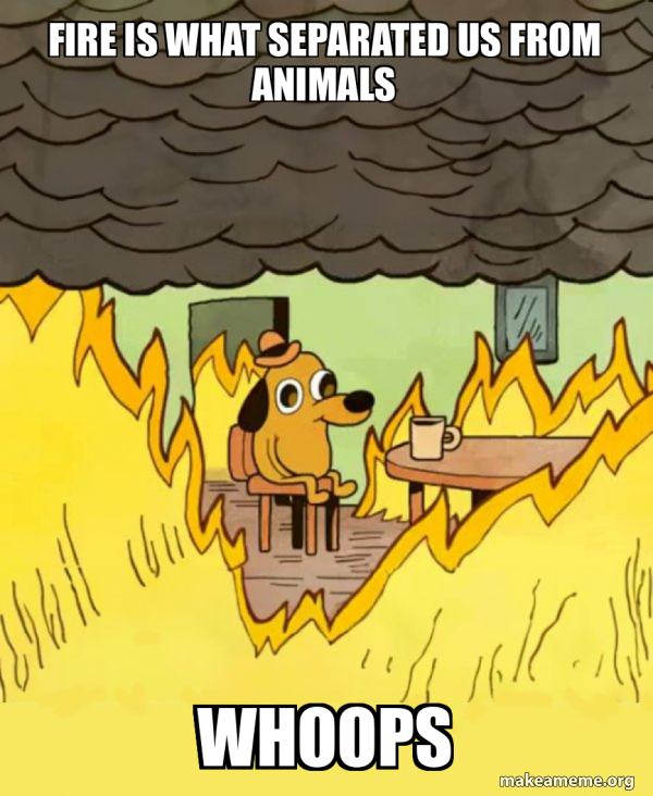 fire is what separated us from animals whoops - This Is Fine Meme Generator