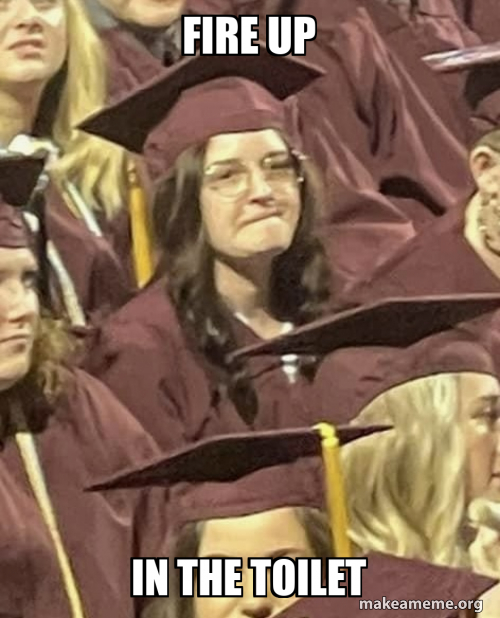 Fire up In the toilet Meme Generator