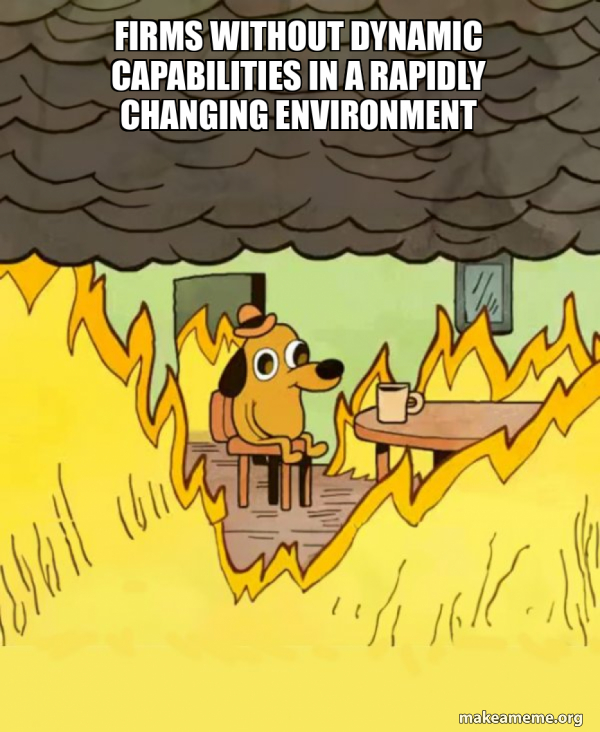 Firms without Dynamic Capabilities in a rapidly changing environment ...