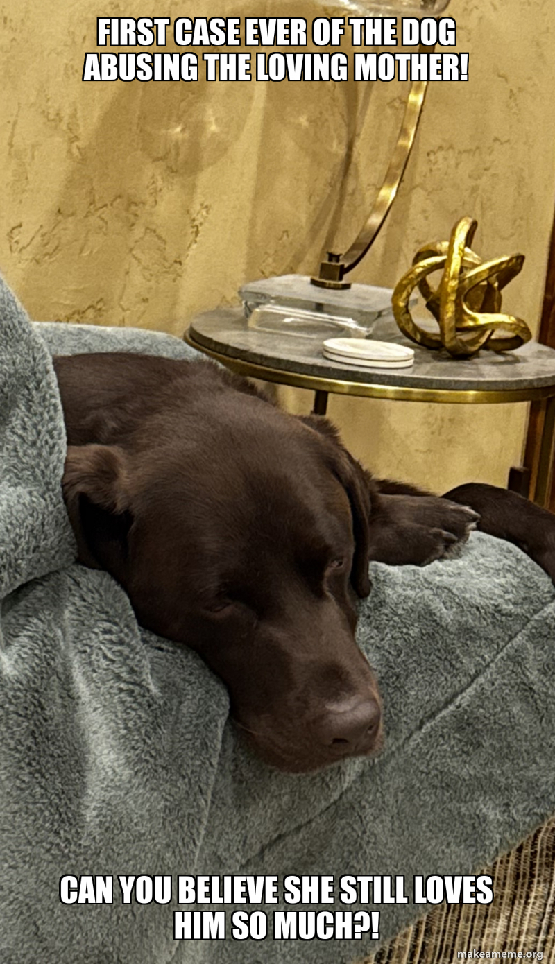 First case ever of the dog abusing the loving mother! Can you believe ...