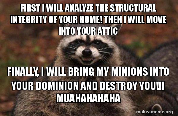 first i will analyze the structural integrity of your home! then i will ...