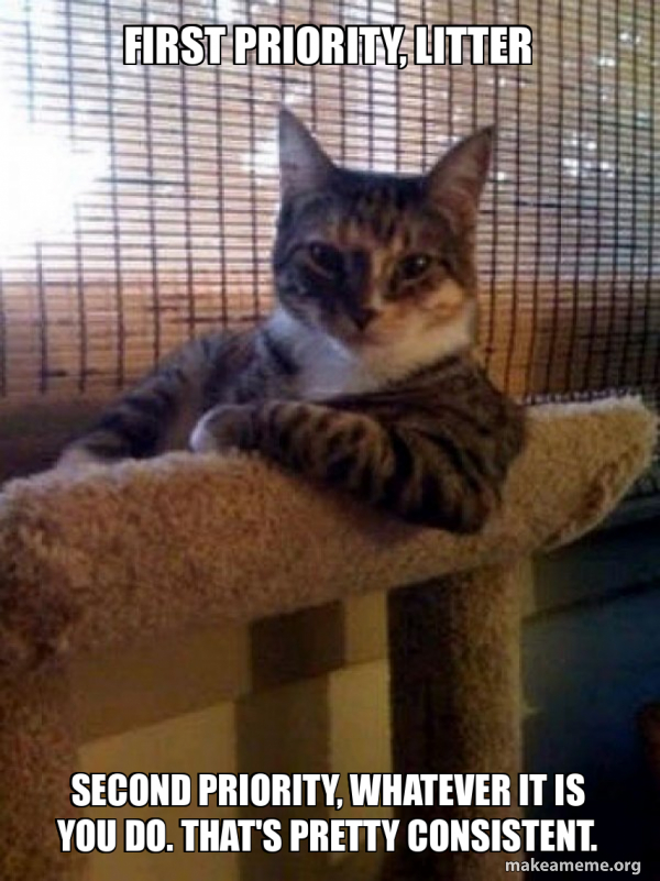 First priority, litter Second priority, whatever it is you do. That's ...