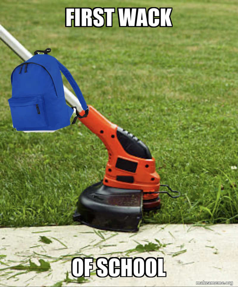 First wack Of school Meme Generator