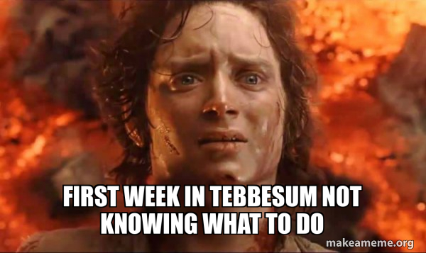 First Week in Tebbesum Not knowing what to do - Frodo it's over it's ...