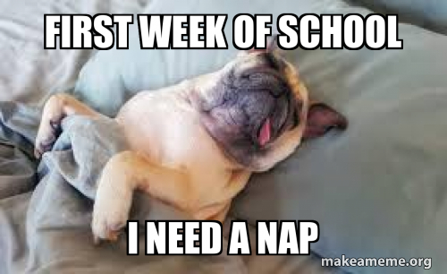 First Week of School I need a nap Meme Generator