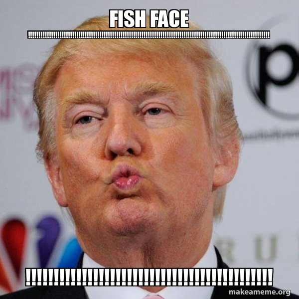 FISH FACE