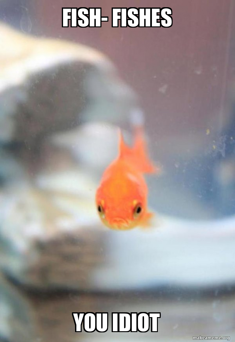 fish- fishes you idiot - Grumpy Fish Meme Generator