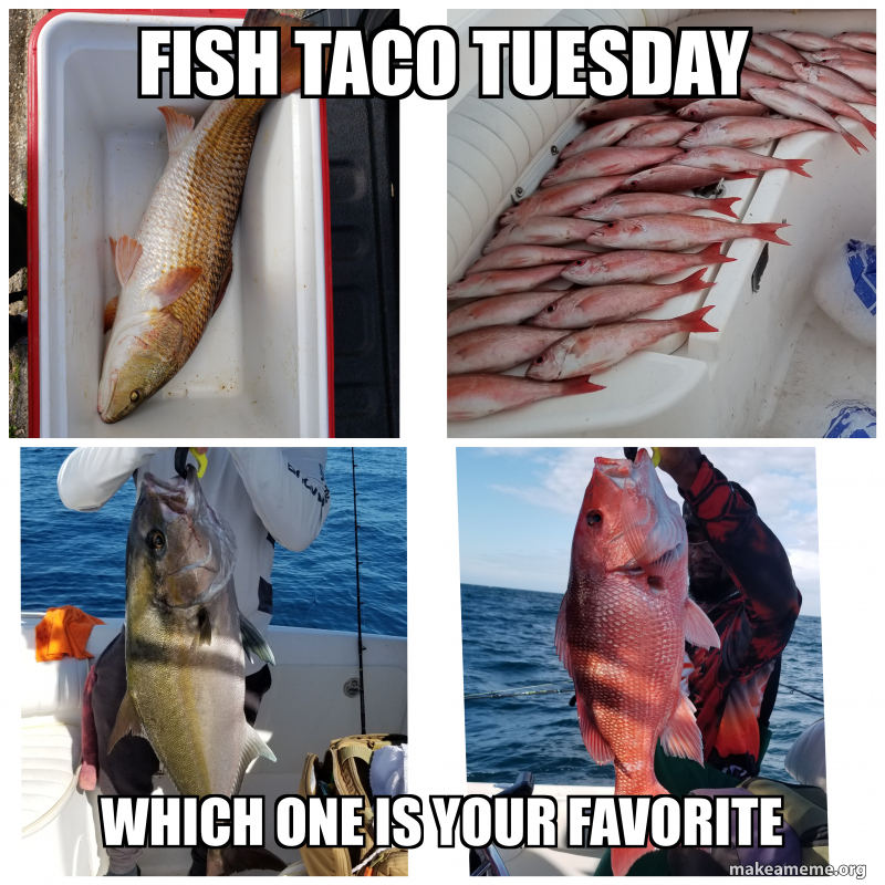 Fish Taco Tuesday Which one is your favorite Meme Generator
