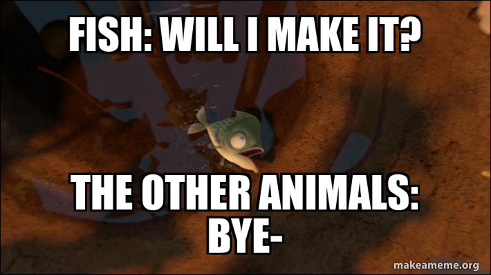 fish: will i make it? the other animals: bye- Meme Generator