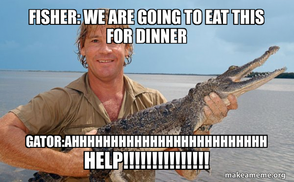 fisher: we are going to eat this for dinner gator ...