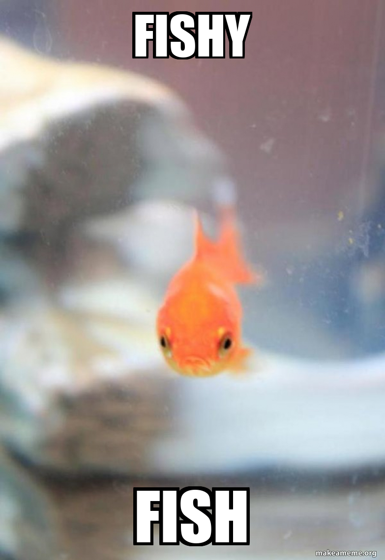 fishy fish - Grumpy Fish Meme Generator