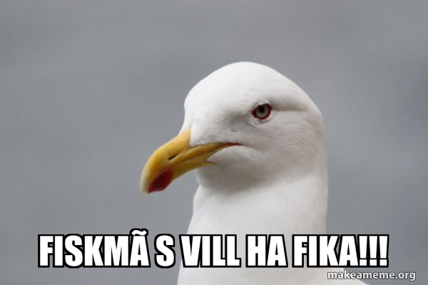 Fiskmås vill ha fika!!! - Stuff That Didn't Happen Seagull Meme Generator
