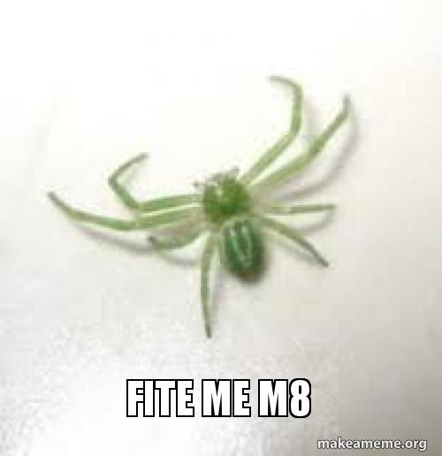 Fite me m8 Meme Generator