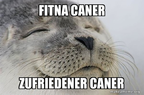 Fitna Caner Zufriedener Caner - Satisfied Seal Meme Generator
