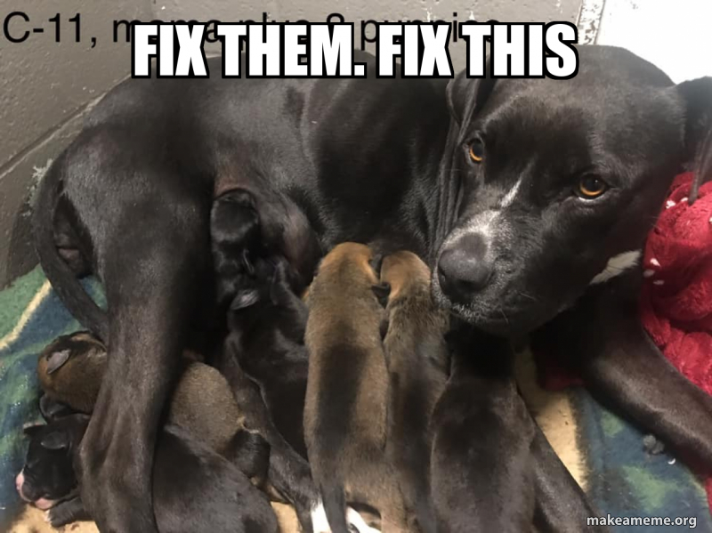 Fix them. Fix this Meme Generator