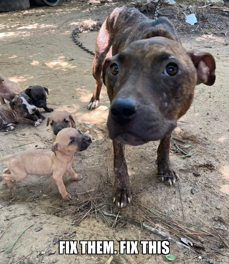 fix them. fix this Meme Generator