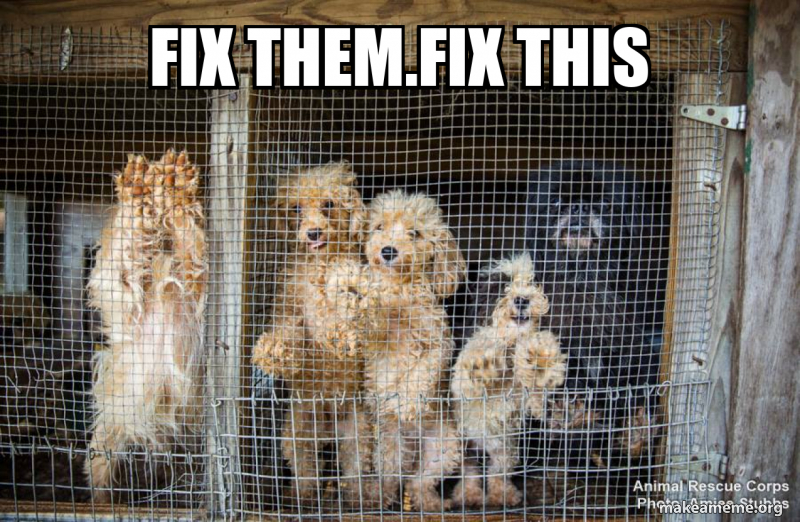 fix them.fix this Meme Generator