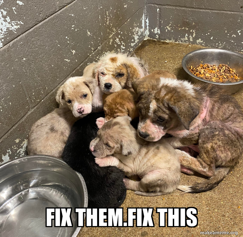 fix them.fix this Meme Generator