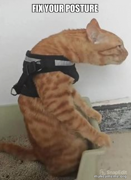FIX YOUR POSTURE Meme Generator