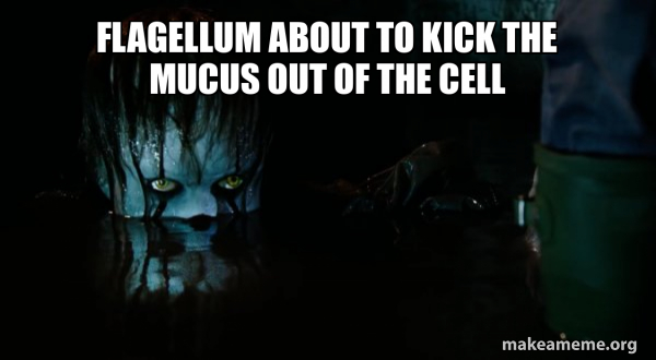 flagellum about to kick the mucus out of the cell - Pennywise It Meme ...