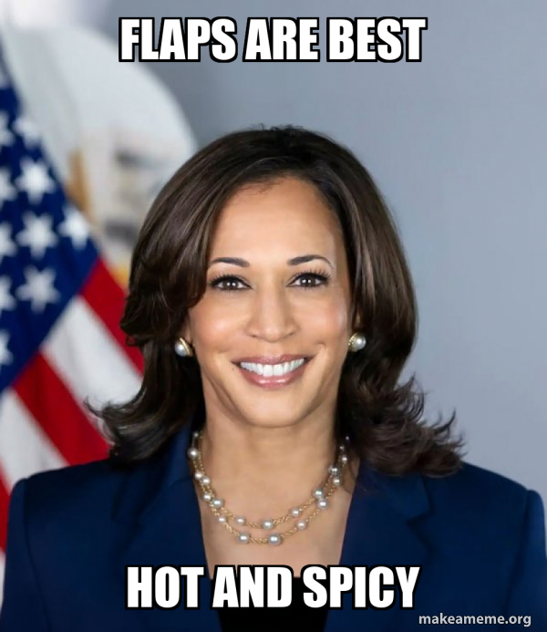 flaps are best hot and spicy - Kamala Harris Meme Generator