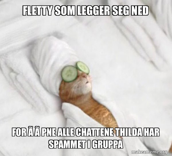 fletty som legger seg ned for å åpne alle chattene thilda har spammet i ...