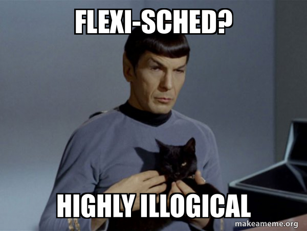 Flexi-sched? Highly illogical - Spock and Cat Meme Meme Generator