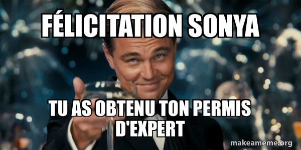 Félicitation Sonya Tu as obtenu ton permis d'Expert - Great Gatsby ...