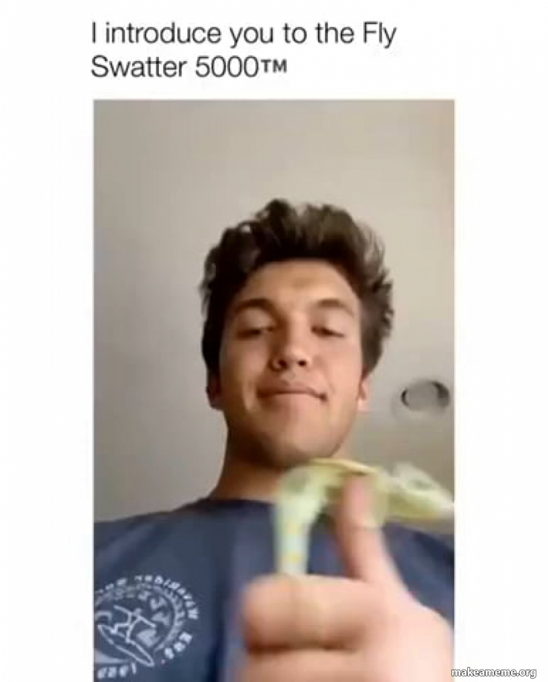 - Flies beware! The Fly Swatter 5000 is here! Meme Generator