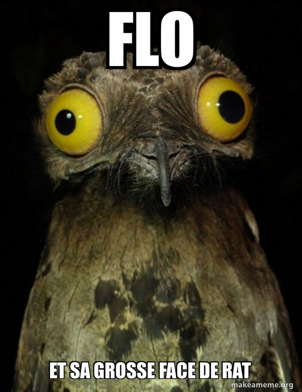Flo Et sa grosse face de rat - Weird Stuff I do Potoo Meme Generator