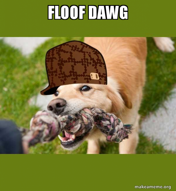 floof dawg - Scumbag dog Meme Generator