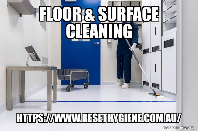 Floor & Surface Cleaning https://www.resethygiene.com.au/ Meme Generator